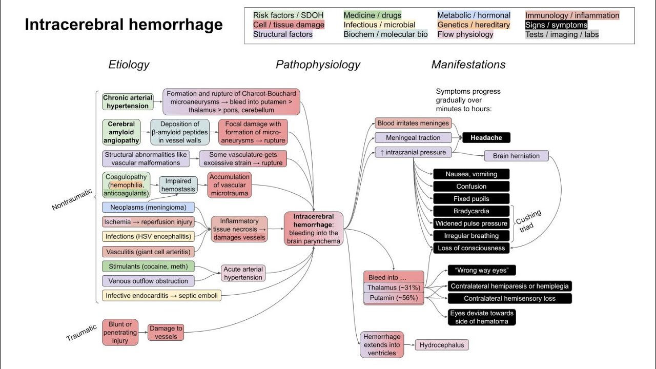 Intracerebral Hemorrhage Pathophysiology