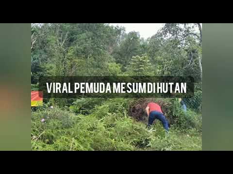 Ngewe Di tengah Hutan (Bokep)