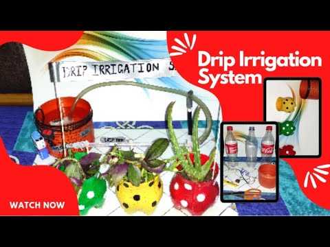 Drip Irrigation System Working Model For Science Project Exhibition # ...