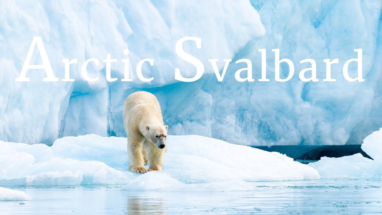 Arctic Svalbard in a Majestic 4K Journey through the Icy Wonders of our ...