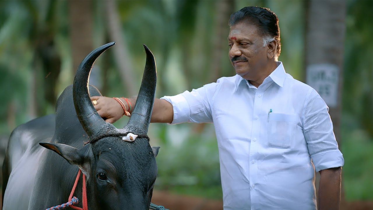 என்றென்றும் தமிழக மக்கள் புரட்சிக்காவலர் ஓபிஎஸ் அவர்களை மறக்க ...