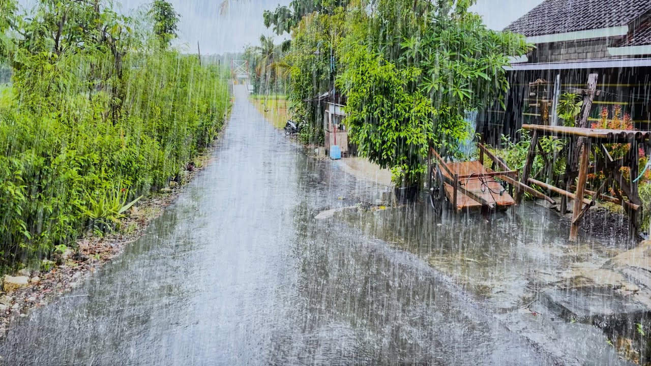 Heavy Rain in a Quiet Village – Perfect Rain Sounds for Sleeping & Meditation - Rural Rainfall ...