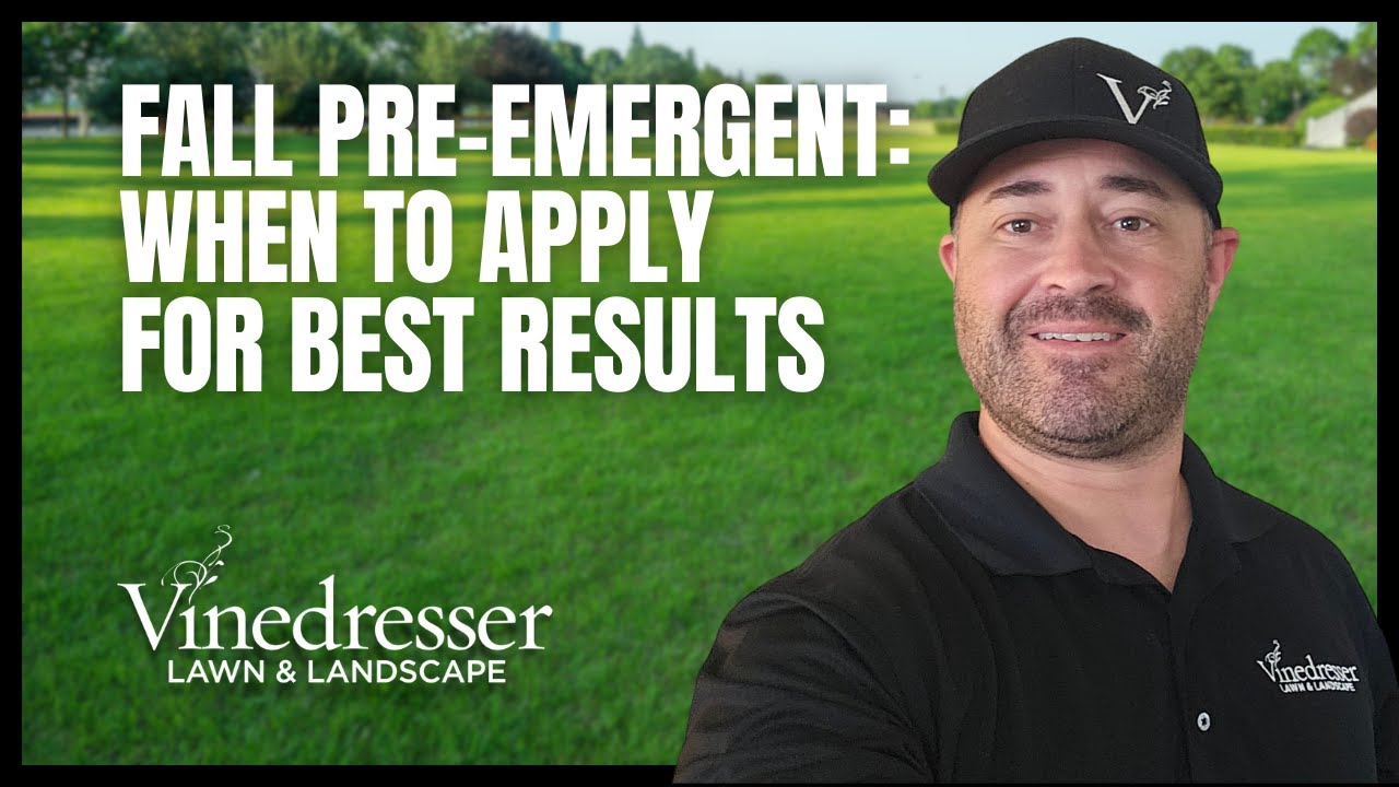 Fall Pre-Emergent: When to Apply for Best Results - YouTube