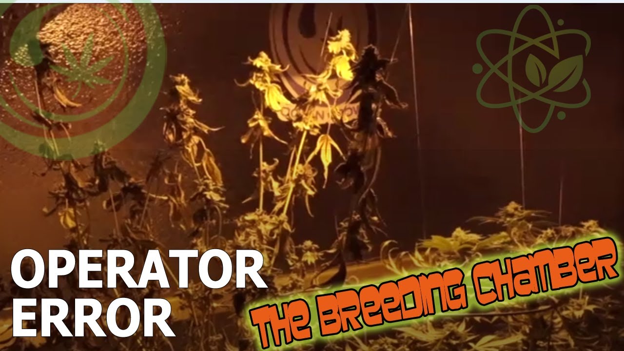 The Breeding Chamber - S4E5 - YouTube