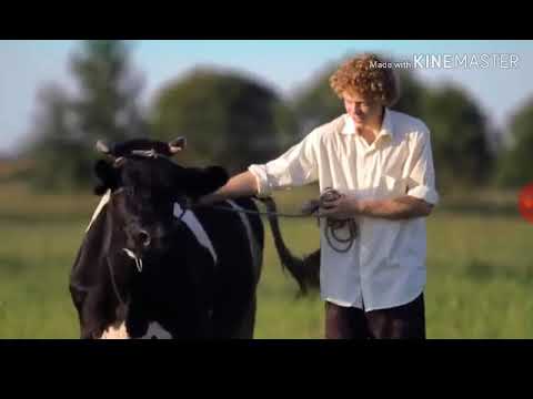 Corova train death a der silain. For train