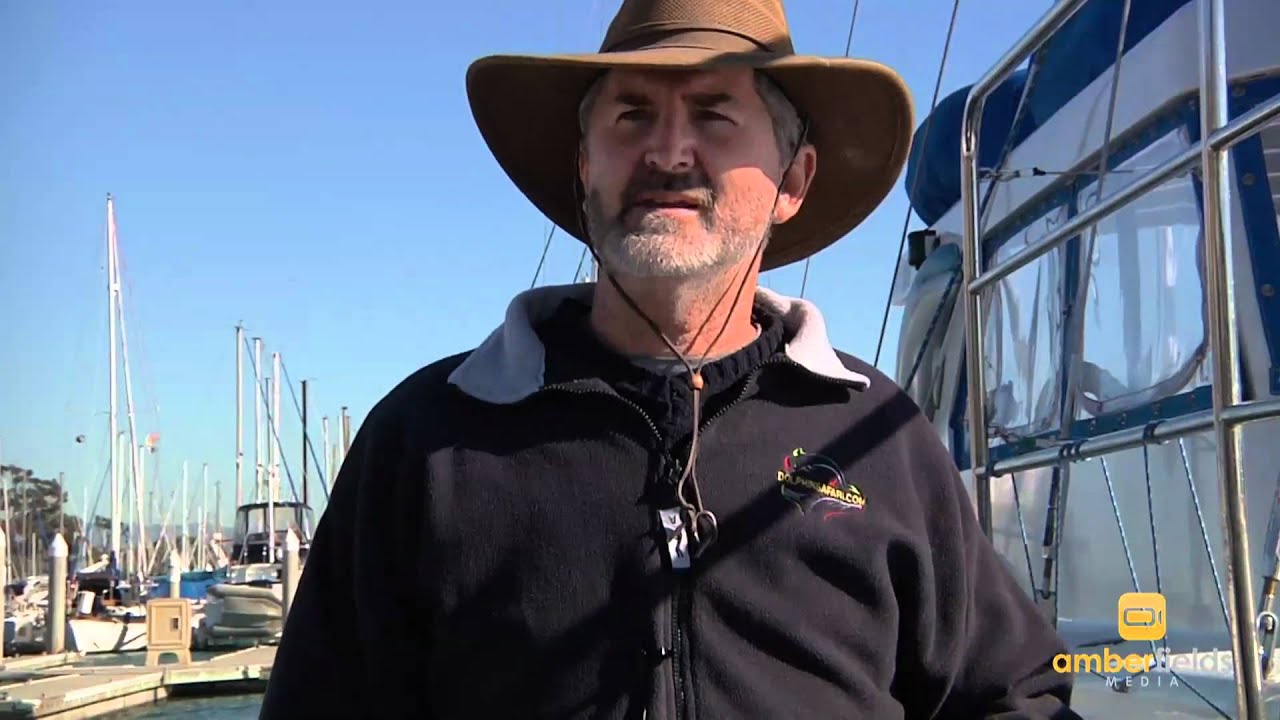Captain Dave's Dolphin and Whale Safari - Dana Point, CA - YouTube