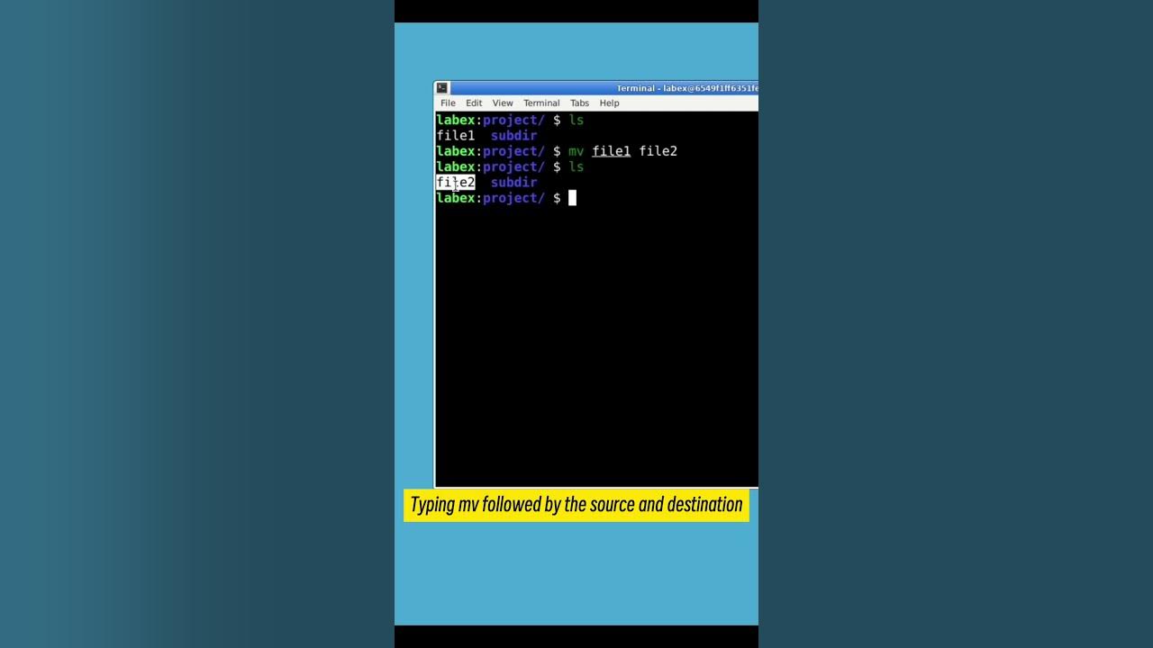 Practice Linux Commands 02 Mv Commandline Linux Linuxcommands Shorts Youtube