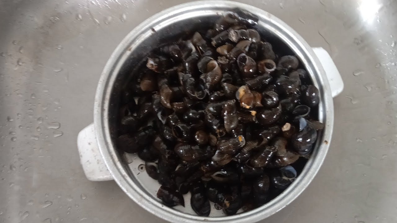 Resipi tekuyung sunggai masak tempoyak(bahasa iban) - YouTube