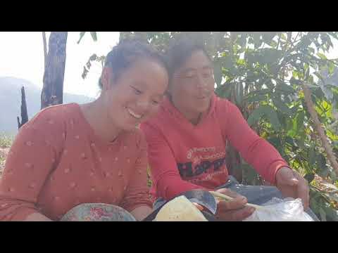 hnub no wb ob niam txiv mu txiav kav qo - YouTube