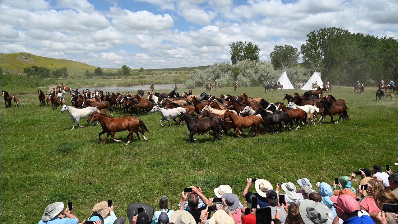 “But That Day, I Made My Tears Drop” 2024 Battle Of The Little Bighorn ...