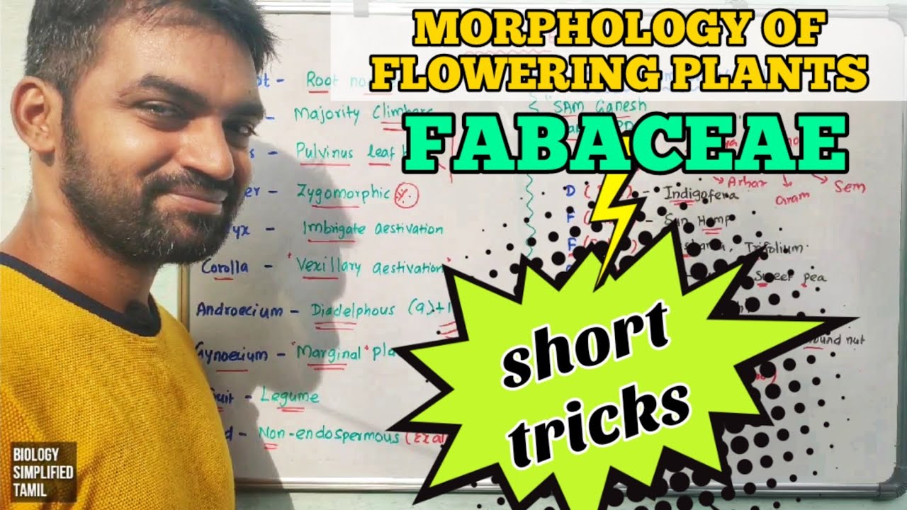 Fabaceae short tricks | Fabaceae - Important points | Senthilnathan ...