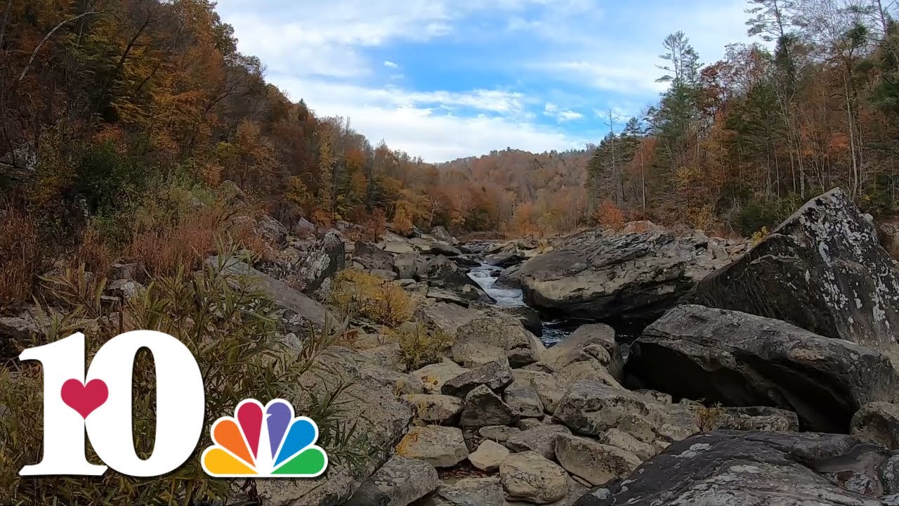 A hike on the Angel Falls Rapid Trail at Big South Fork | 10Explores ...