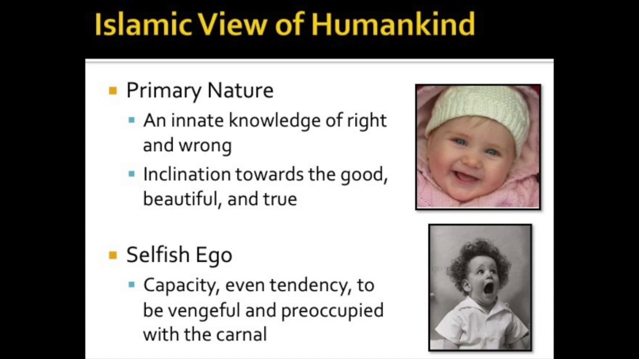 Islam Summarized Beautifully in 20 Minutes | Dr. Asad Tarsin - YouTube