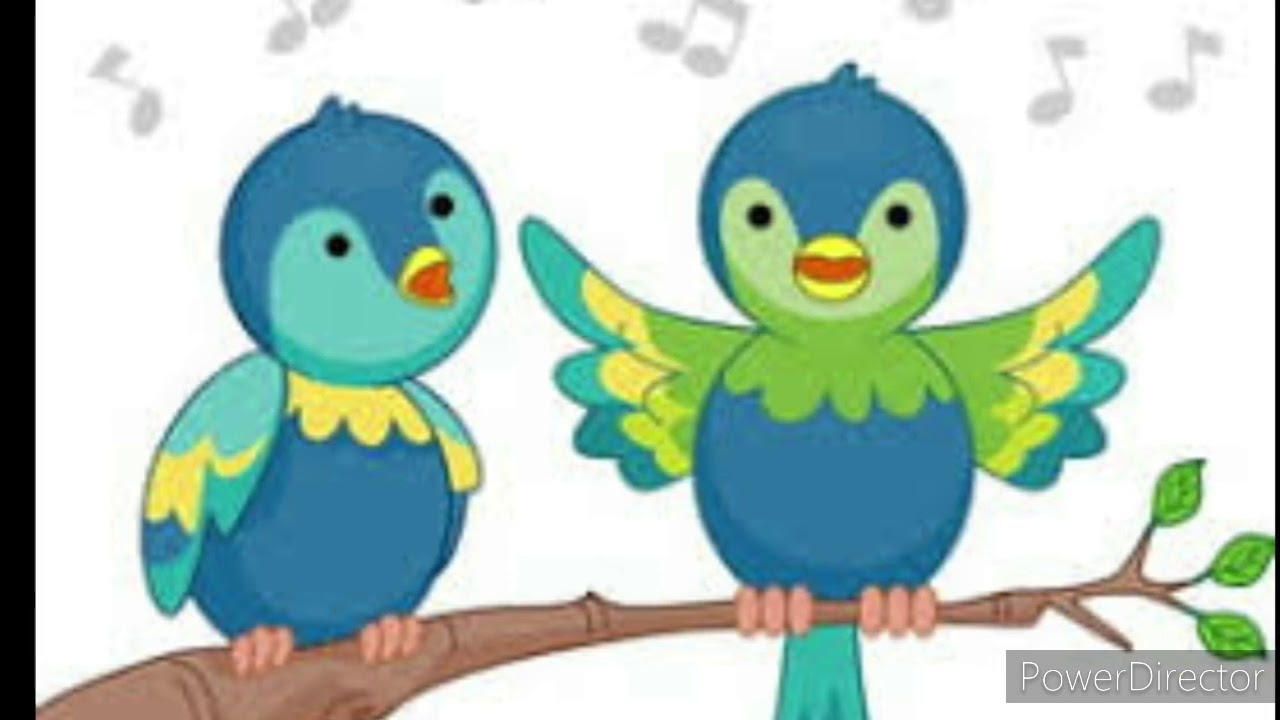 Mon petite oiseau ( comptine pour enfants) - YouTube