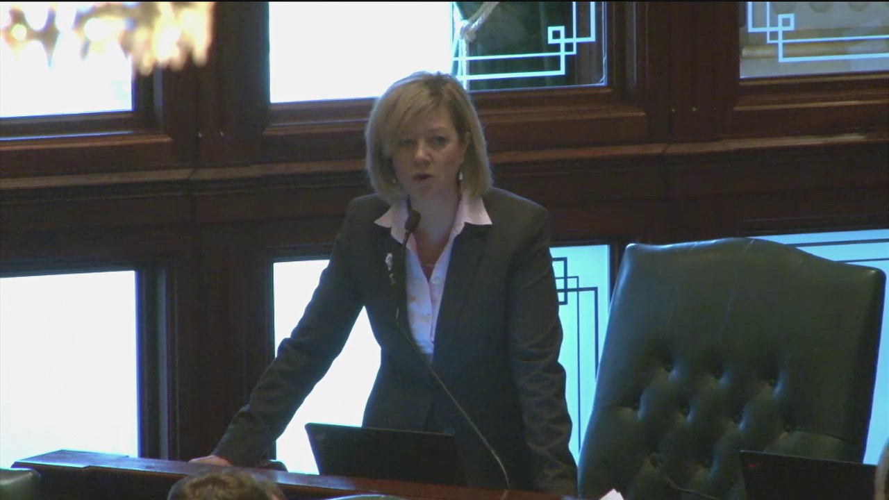 State Rep Jeanne Ives on property taxes in Illinois - YouTube