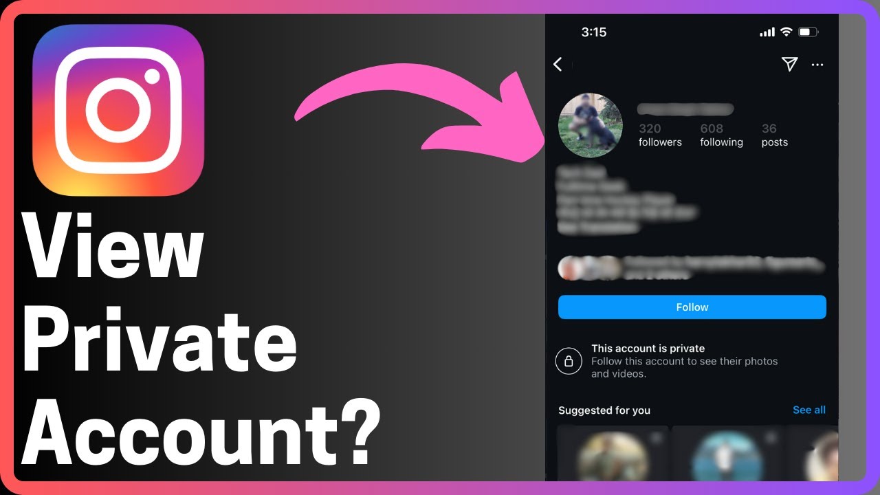 How To View Private Instagram Account WITHOUT Following - Full Guide ...