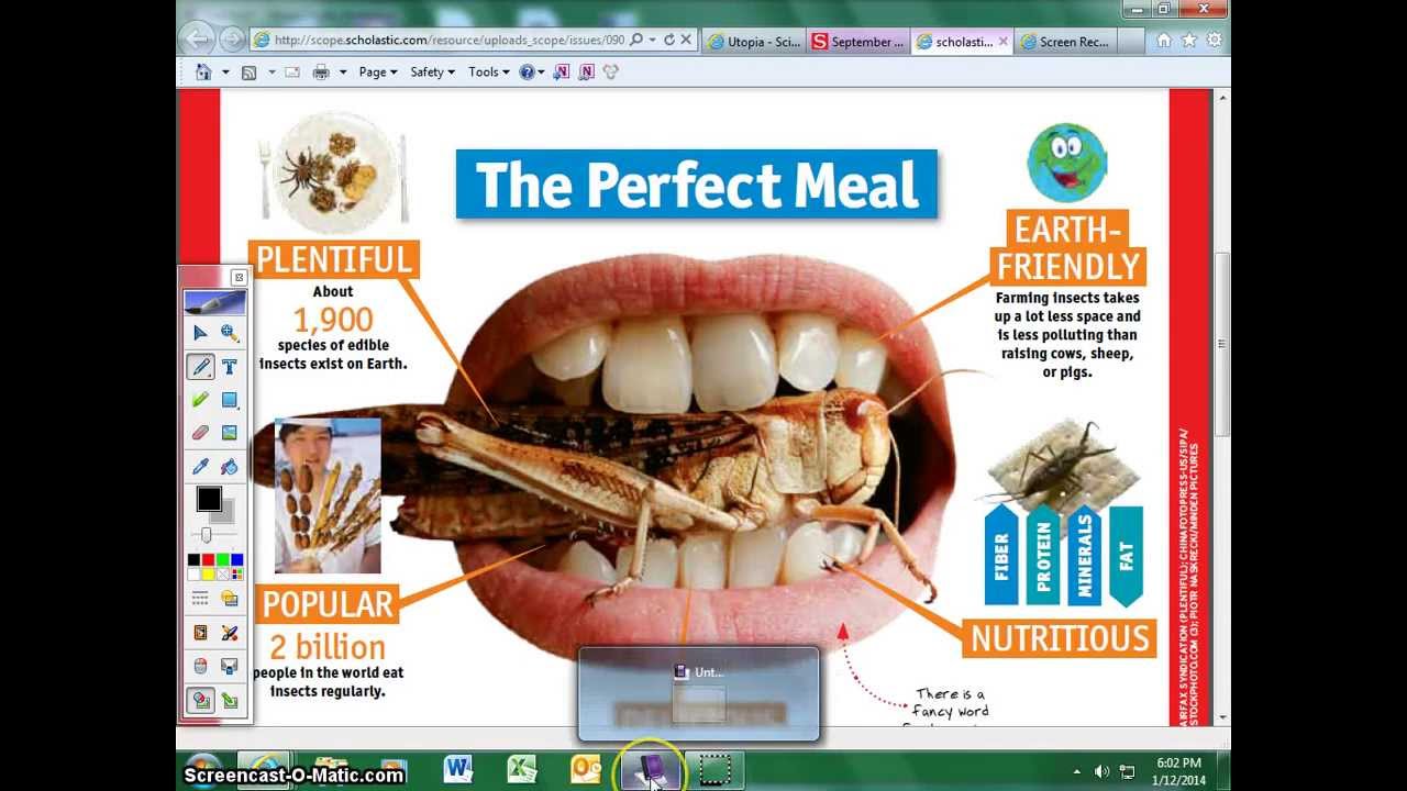 writing to explain prewrite bug eating - YouTube