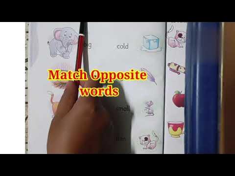 Match rhyming words opposite word । Nursery LkG class worksheet with ...