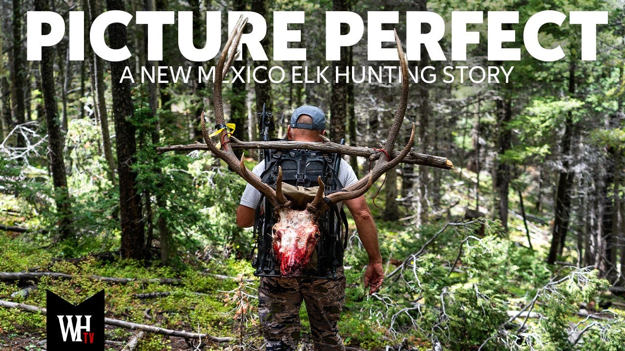 Picture Perfect | An Archery Elk Hunting Story With Chris Denham - YouTube