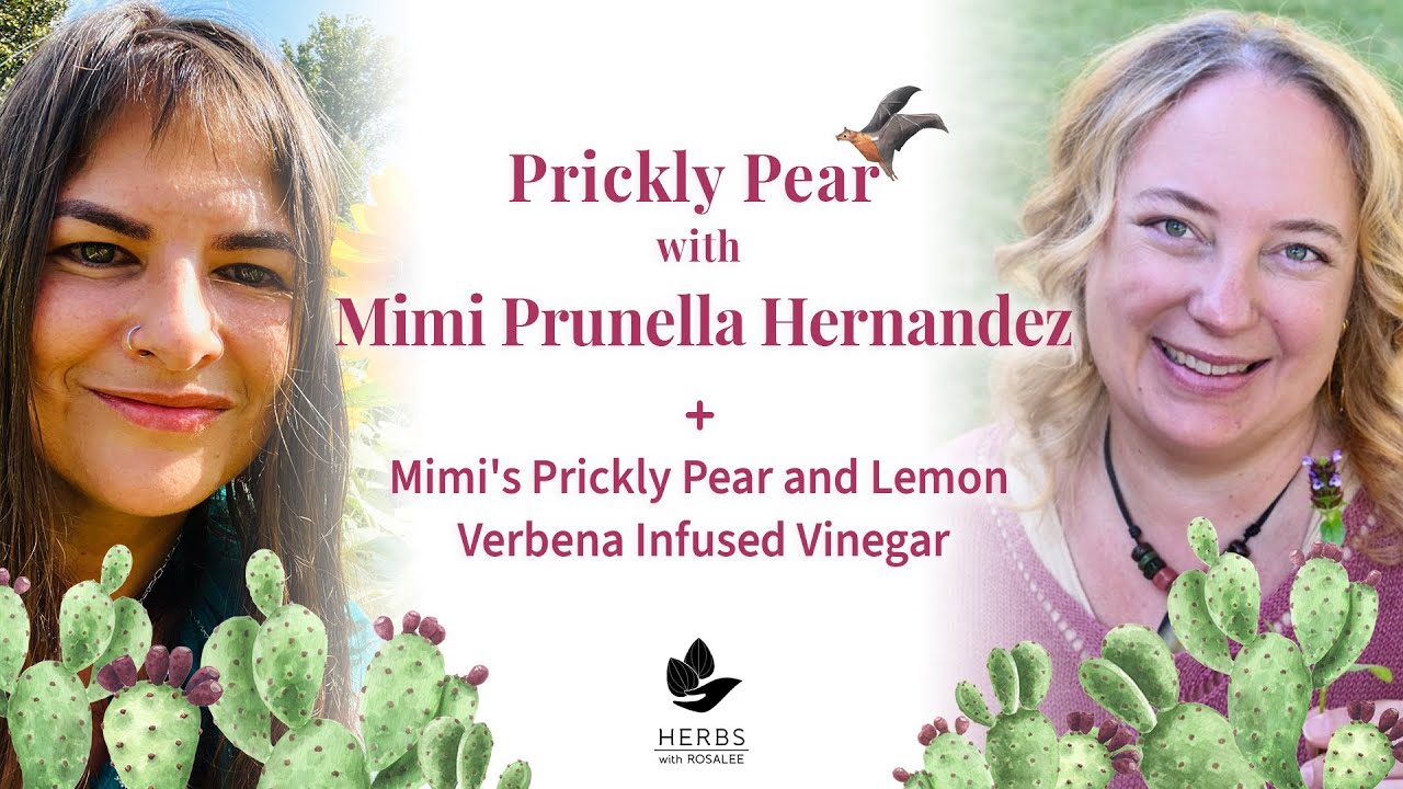 Prickly Pear with Mimi Prunella Hernandez + Mimi's Prickly Pear and ...