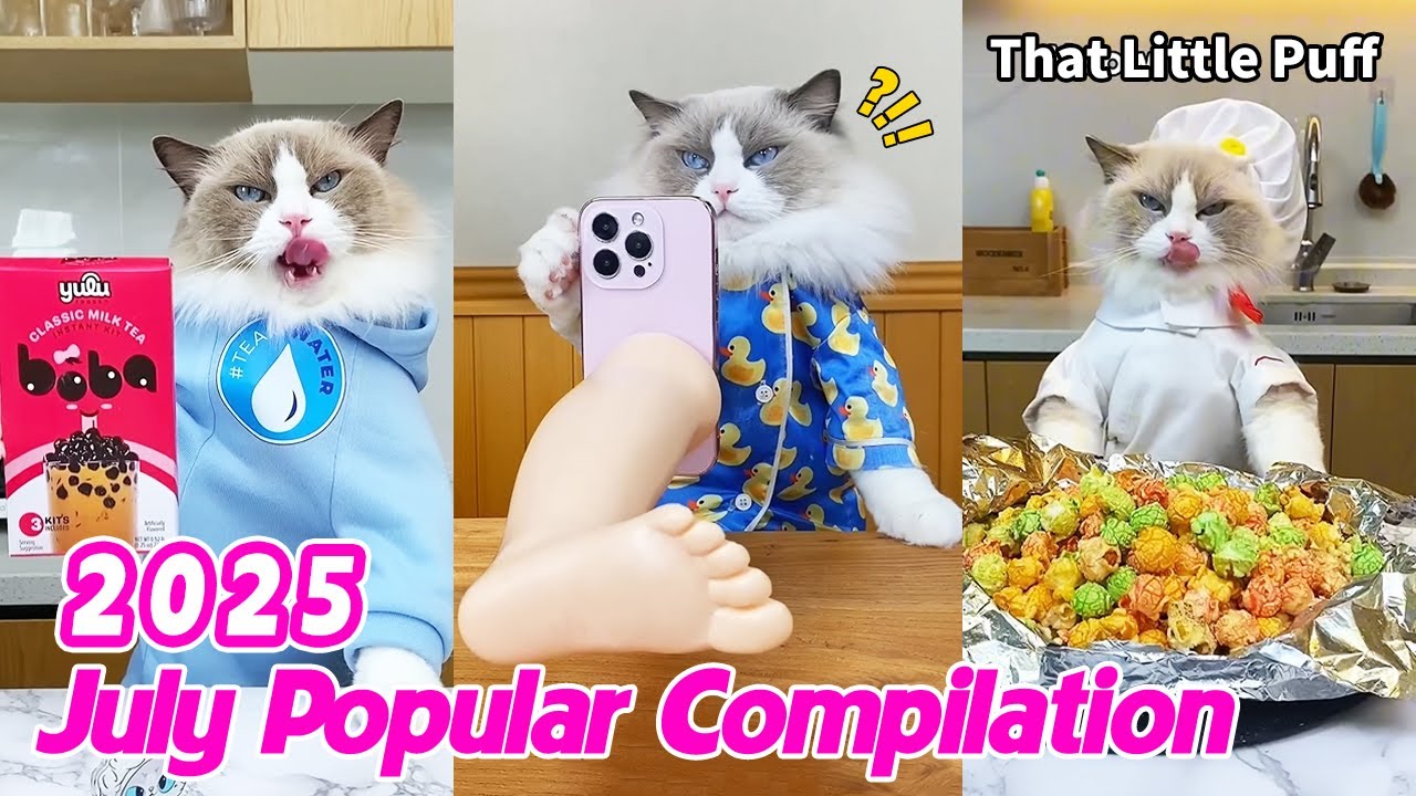 July Popular Compilation 2025 | That Little Puff - YouTube