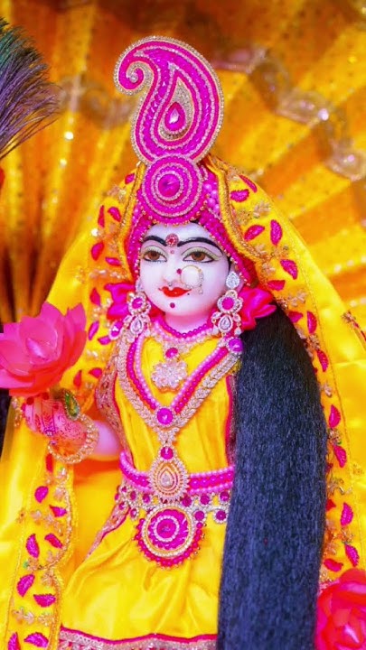 कृष्ण प्रिय श्री राधा रानी के दर्शन वृंदावन 🙏🏻🙏🏻💛💛 Radha Shorts Reels