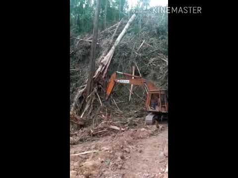 Alat berat tua pencapit kayu - YouTube
