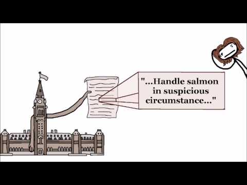 Fish Jenga - YouTube