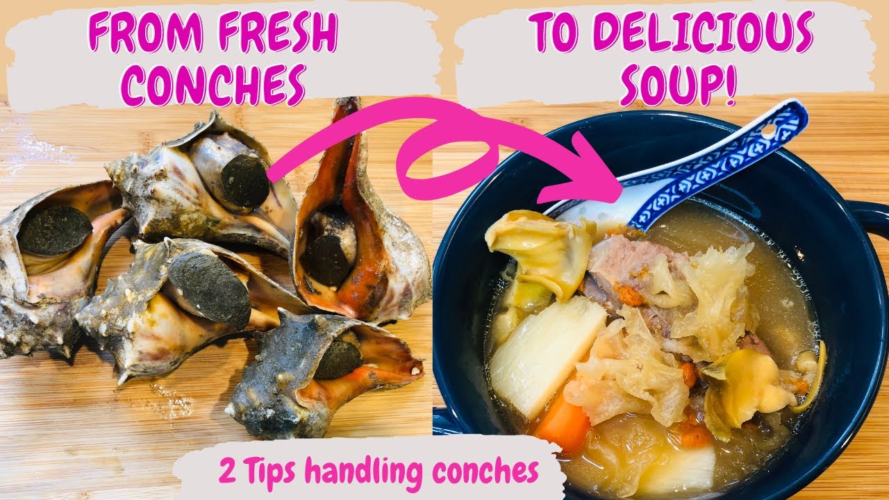 How to Clean and Cook Fresh Conch Soup, Chinese Conch Soup Recipe ...