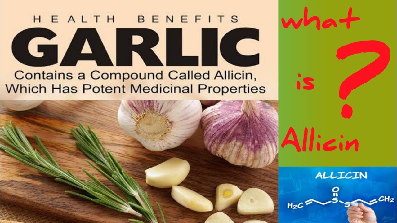 garlic || benifits of garlic || allicin || how to eat garlic - YouTube