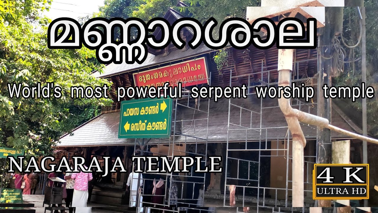 Mannarasala sree nagaraja temple |serpent temple | The human woman who ...