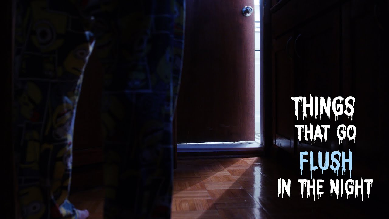 Things that go Flush in the Night - YouTube