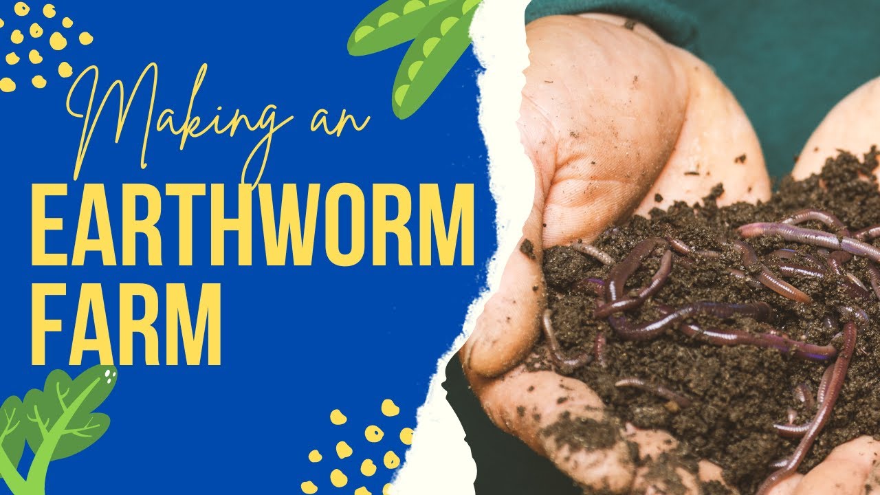 DIY Earthworm Farming: How to Create Your Own Nutrient-Rich Soil ...