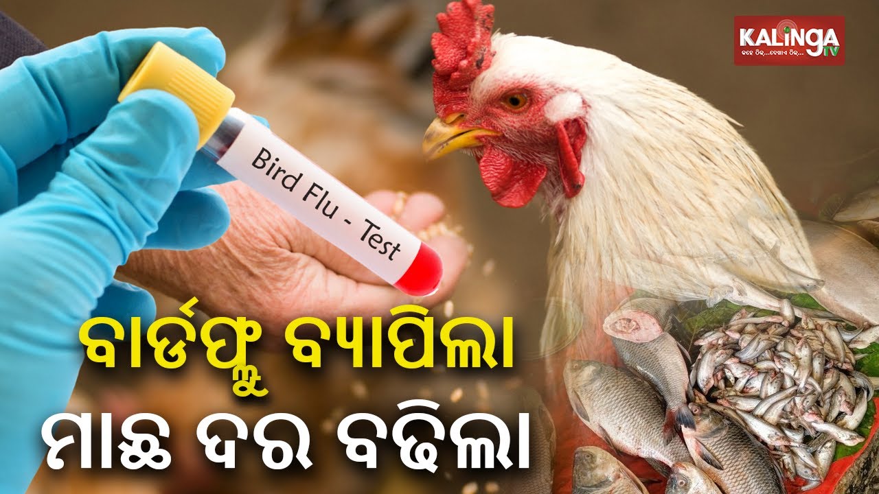 Bird flu scare pushes up demand for mutton and fish, prices go up ...