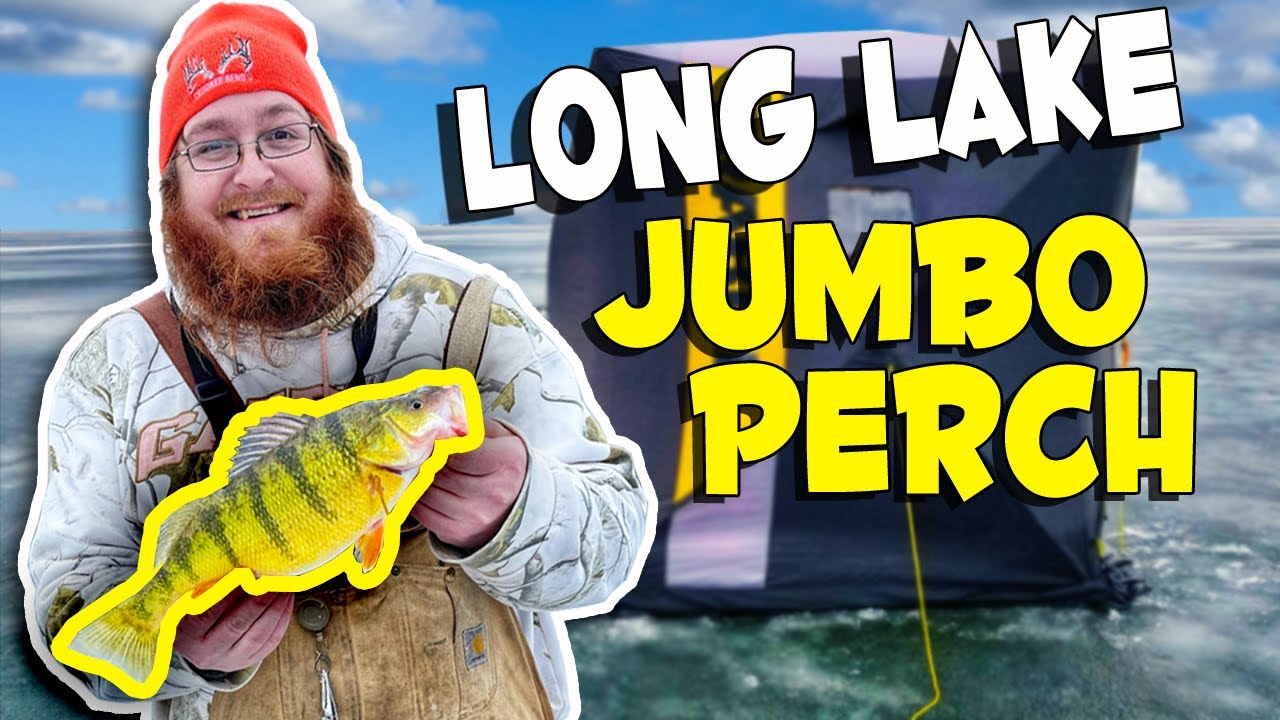 Long Lake Jumbo Perch - Ice Fishing 🎣 - YouTube