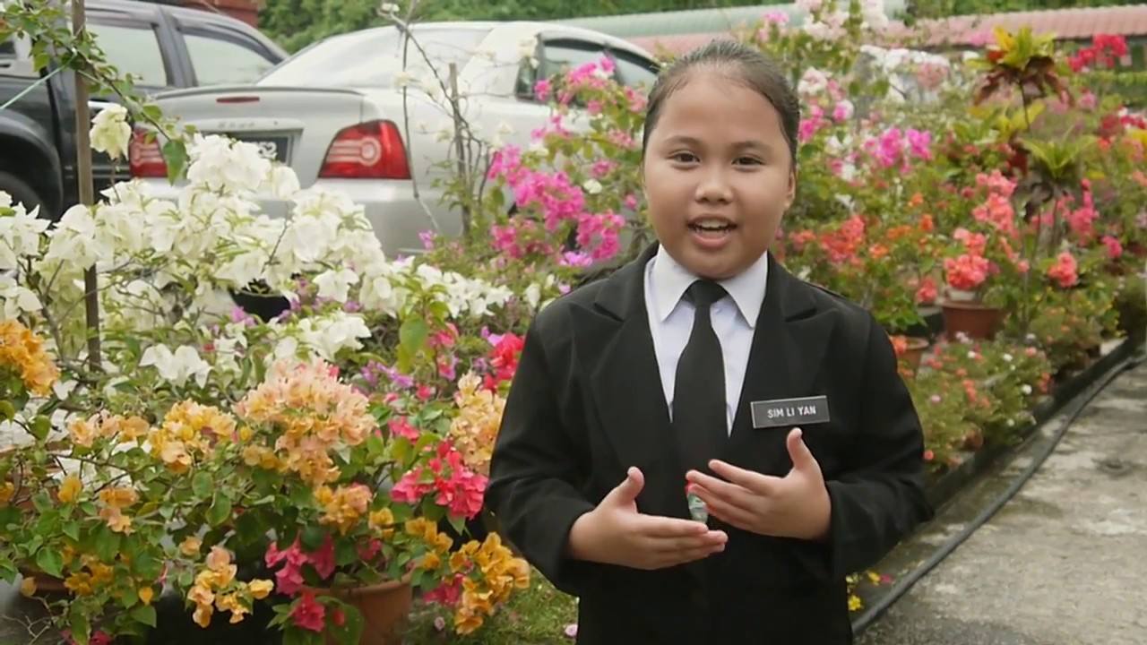 SIM LI YAN - CALON ANUGERAH NILAM SARAWAK 2017 - BAHAGIAN MIRI - SRBM ...