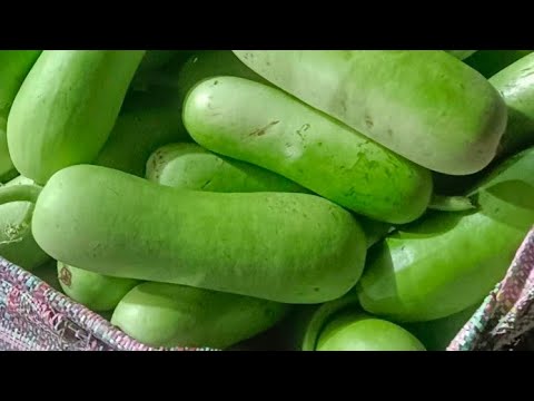 25.9.2025 SM Mani Mandi Tiruvannamalai vegetable market - YouTube