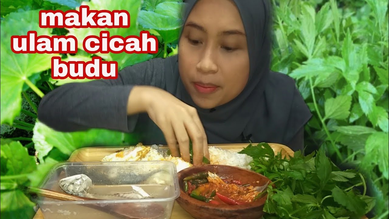 Makan ulam ulaman sekali sekala sedap jugak kan😋..Ulam dengan singgang ...