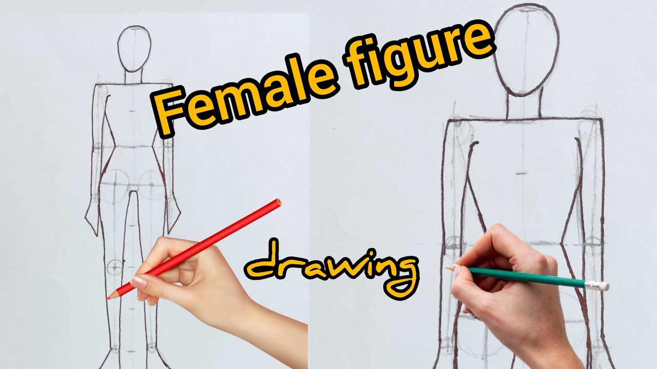 How to draw a female figure in a basic and principled way _ easy ...