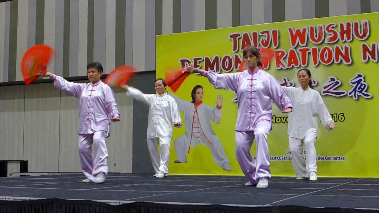 功夫扇 Taiji Gong Fu Shan (Tai Chi Kung Fu Fan) 静心团队 19 Nov 2016 - YouTube