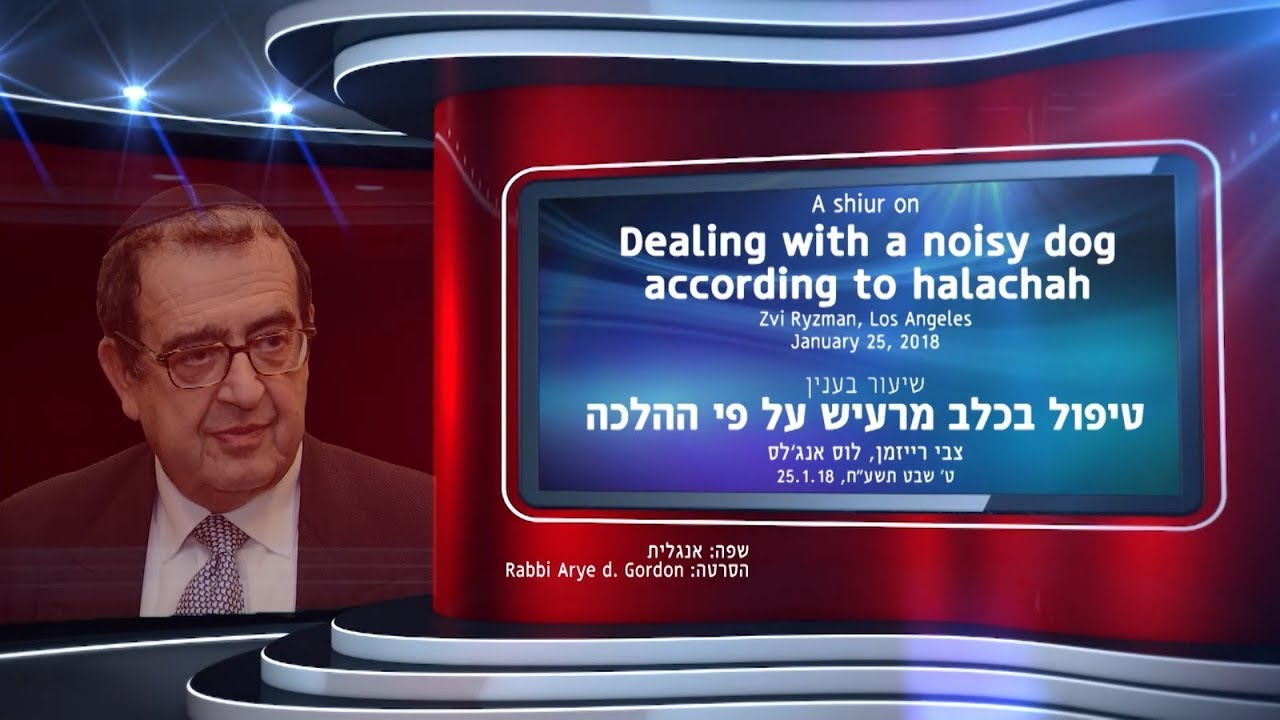 Zvi Ryzman - Shiur of Dealing with a noisy dog according to halachah ...