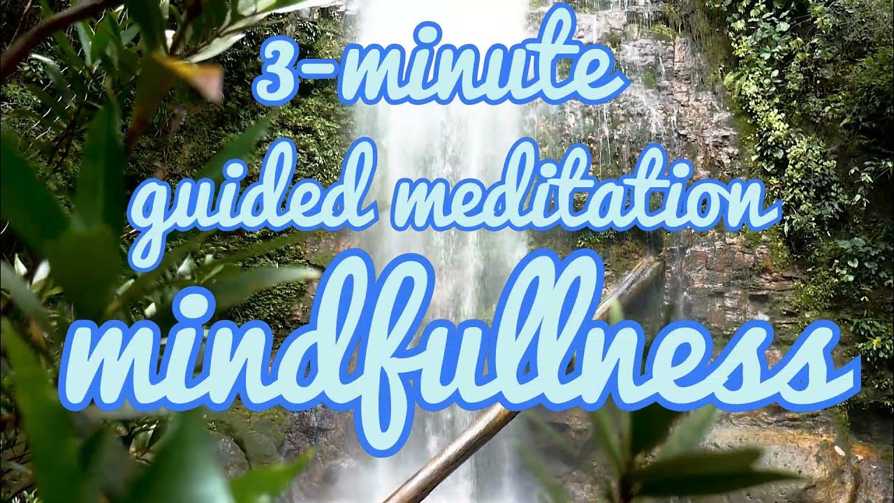 meditation 3 minute guided mindfulness meditation - YouTube