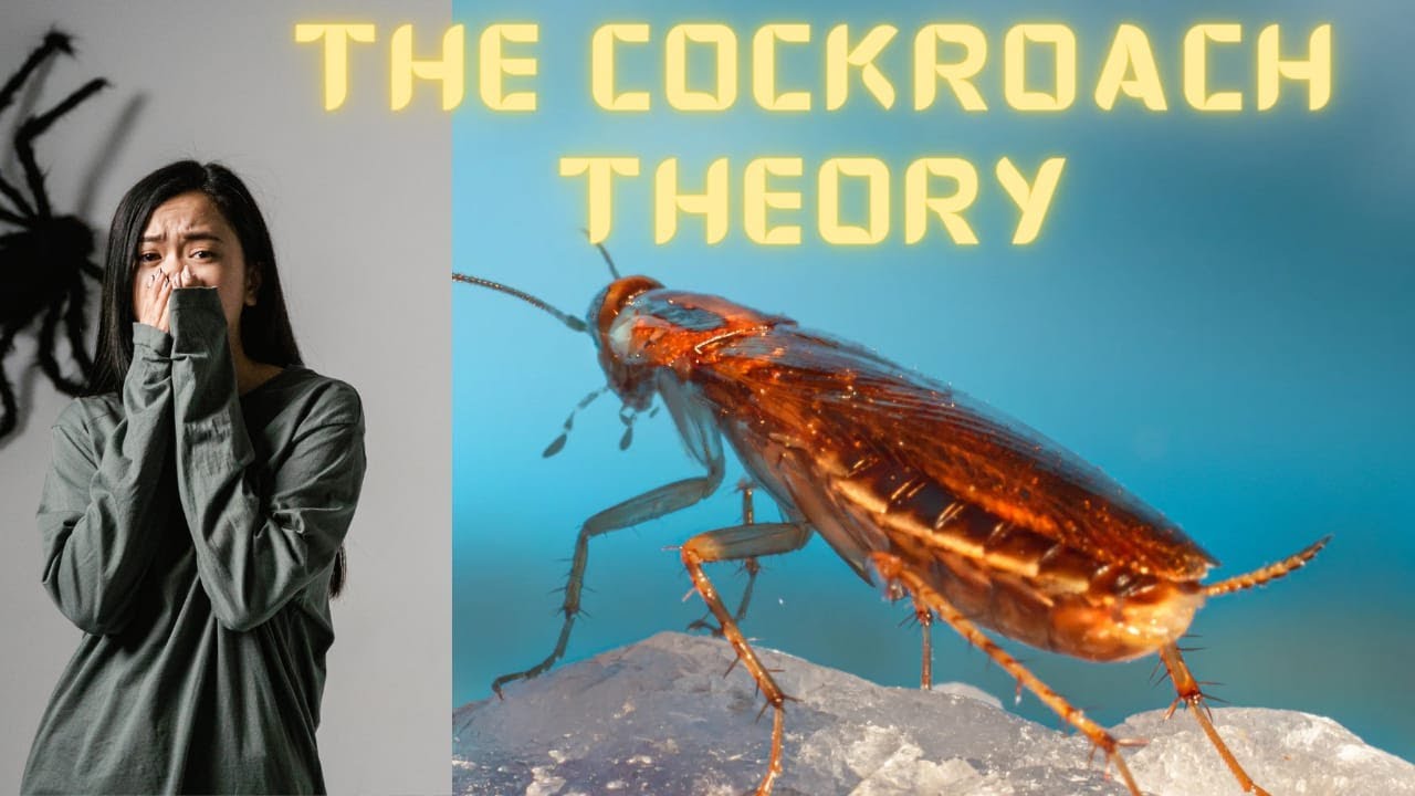 How to deal with any situation in life.The Cockroach Theory.A powerful ...