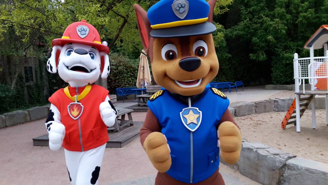 Paw Patrol Meet And Greet Chase And Marshall Youtube