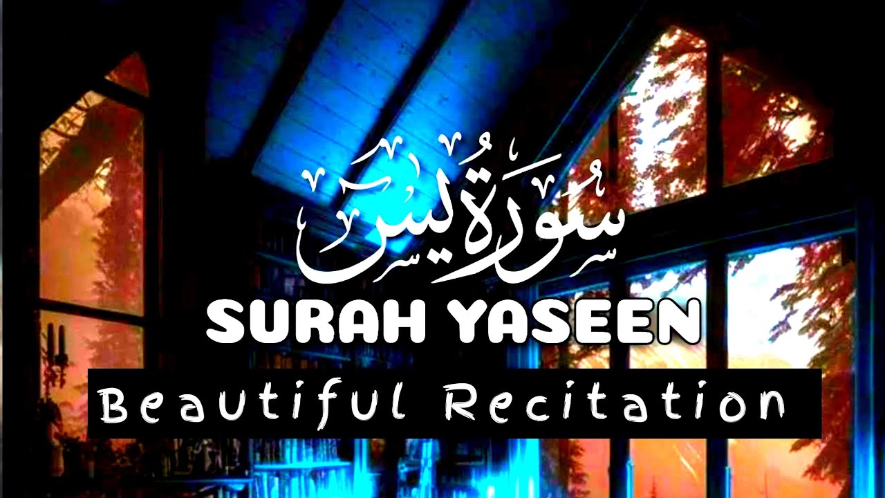 Surah Al Yasin Sharif || Yaseen full Episode 0012 / Beautiful ...