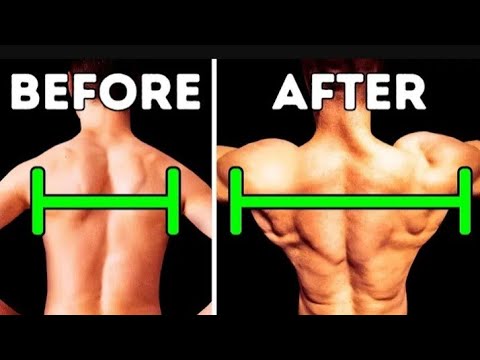 The PERFECT Back Workout |Build V-taper back( beginner friendly) - YouTube