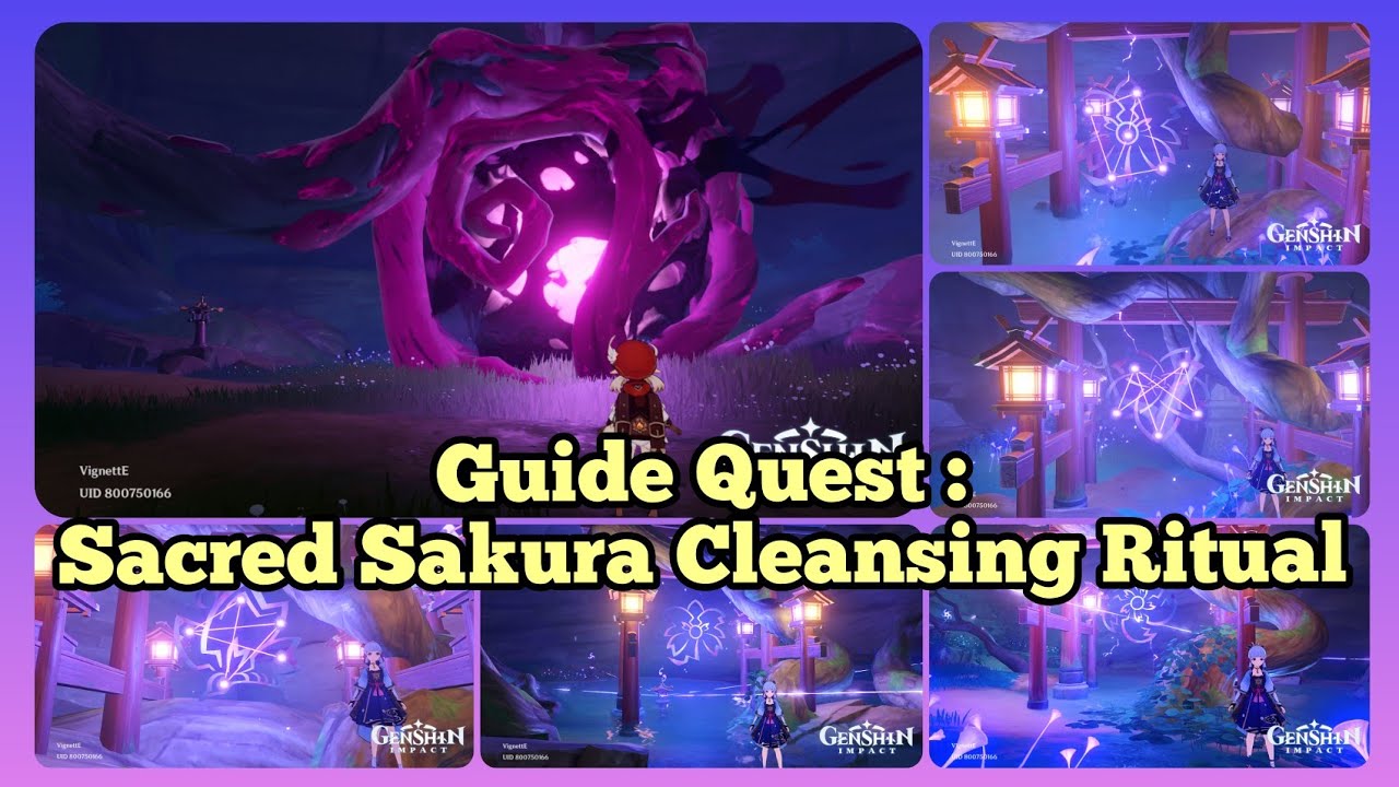 Guide Quest : Sacred Sakura Cleansing Ritual [Full Route] - Genshin ...