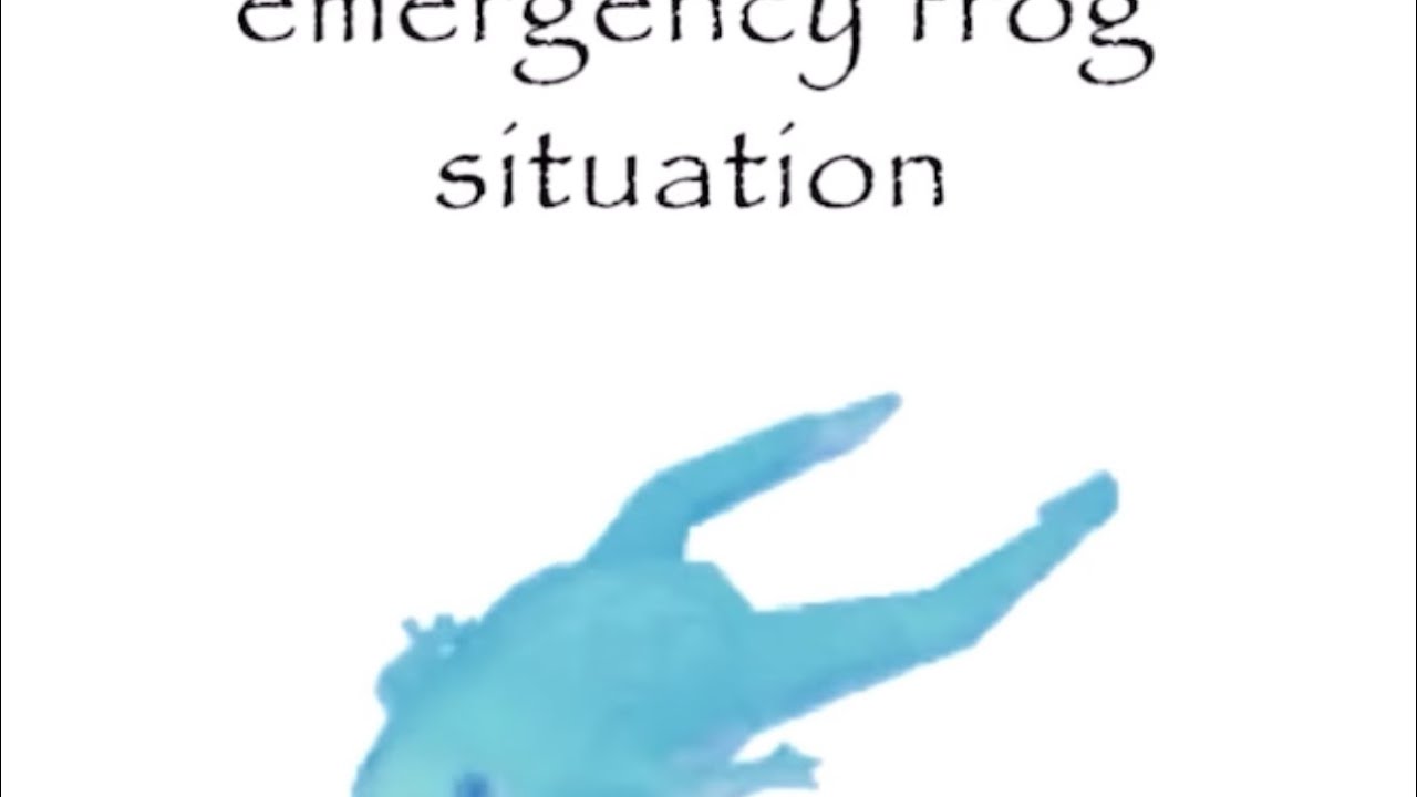 Emergency Frog Situation - YouTube
