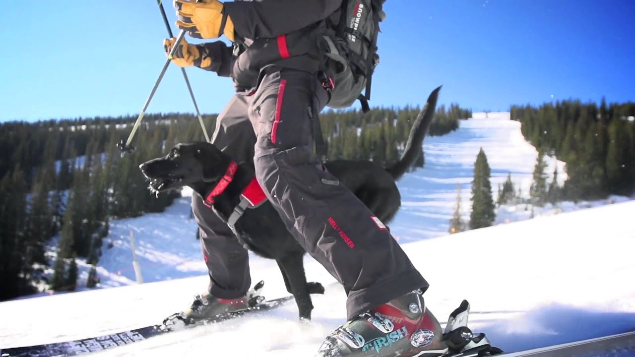 Snowmass Ski Patrol Dogs YouTube snowmass-ski-patrol-dogs-youtube