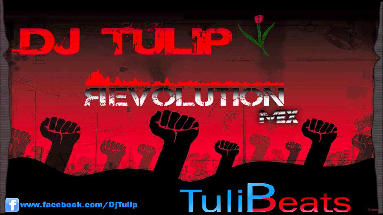 Dj Tulip - (Revolution MIX) Electro House [HD] - YouTube